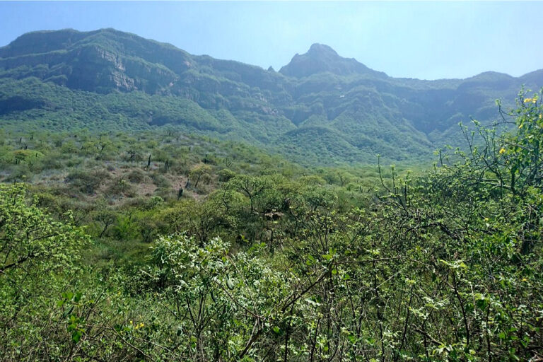 Minam investiga actividades ilegales en Área de Conservación Privada ...